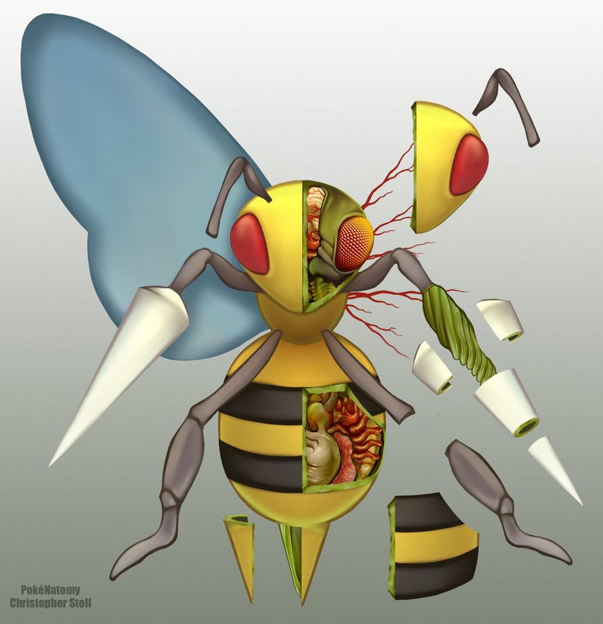 38+ Beedrill HD Wallpapers