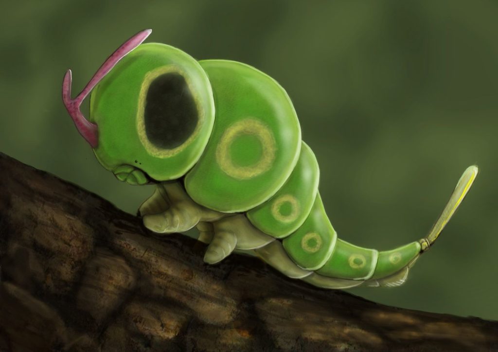 23+ Caterpie HD Wallpapers