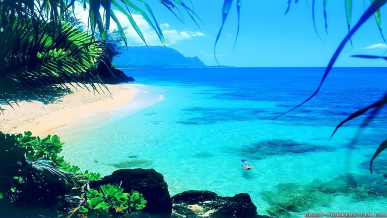 62+ Summer Wallpapers