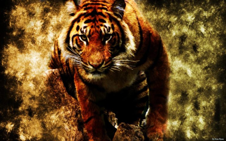 51+ Tiger Wallpapers