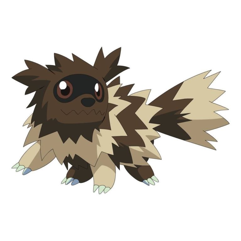 29+ Zigzagoon HD Wallpapers